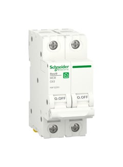 Schneider Electric Resi9, 2P, 40A Miniature Circuit Breaker (Mcb), C ...