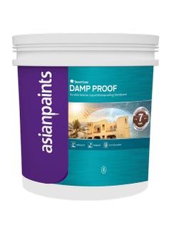 RACO Asian Paint Berger SmartCare Damp Proof |White Liquid Waterproof ...