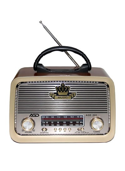 Bluetooth Portable Radio With USB Input AGD-222 price in Saudi Arabia ...