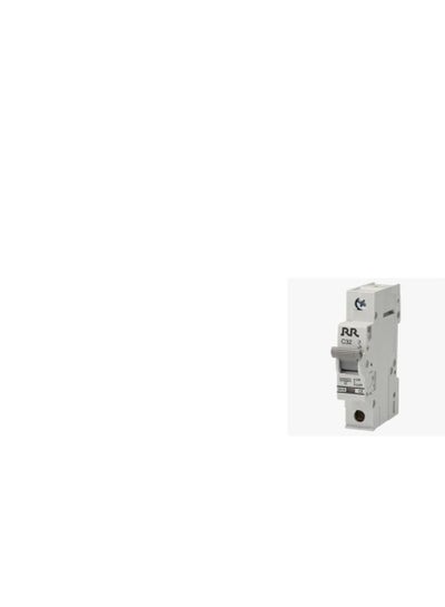 RR MCB Single Pole C Curve 10kA 32A - RR-MSP32 price in UAE | Noon UAE ...