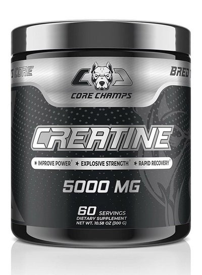 Core Champs Creatine 5000 MG 60 Servings 300g price in UAE | Noon UAE ...
