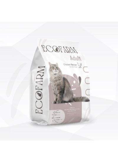 Cats Dry Food Chicken price in Egypt | Noon Egypt | kanbkam