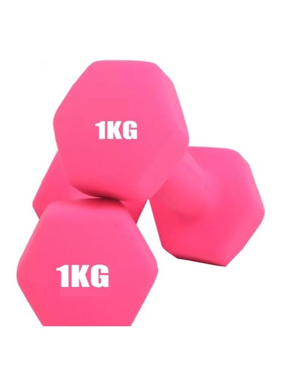 1 KG Dumbbells Weights Exercise 1Kgx2 -Pink price in UAE | Noon UAE ...