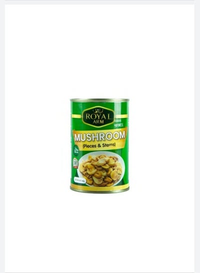 Royal Arm Mushroom Pieces And Stems 24 x 400 Gm price in UAE | Noon UAE ...