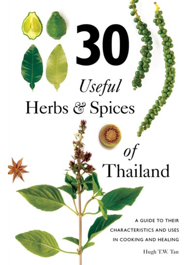 30 Useful Herbs & Spices of Thailand : A Guide to Their Characteristics ...