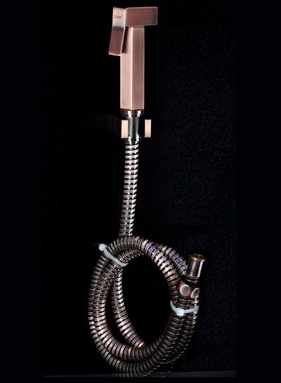 Full Brass Complete Shattaf Set With SS 1.2m Hose and Bracket price in ...