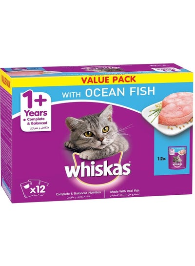Ocean Fish Wet Cat Food 12x80g price in UAE | Noon UAE | kanbkam