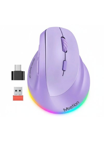 Meetion vertical mouse 45 degree – Right-Handed Ergonomic Wireless ...