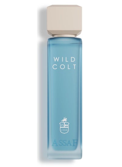 Wild Colt 200 ml Eau de Parfum price in Saudi Arabia | Noon Saudi ...