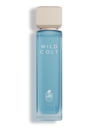 Wild Colt 200 ml Eau de Parfum price in Saudi Arabia | Noon Saudi ...