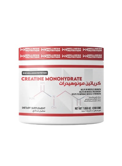 Wellness Nutrition Creatine Monohydrate 200gm price in Egypt | Noon ...
