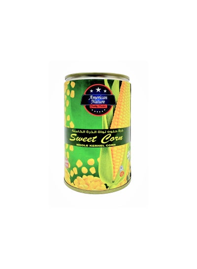 American Nature Sweet Corn Whole Kernel Corn 425Grams price in UAE ...