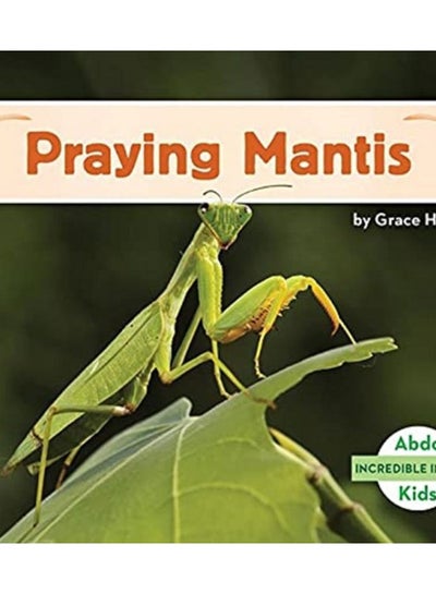 Incredible Insects: Praying Mantis price in UAE | Noon UAE | kanbkam