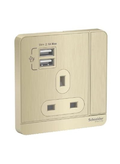 Schneider Electric AvatarOn, 2 USB charger + switched socket, 3P, 13A, Metal Gold Hairline ...
