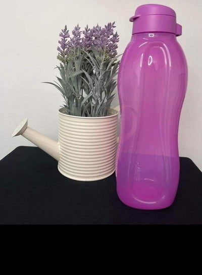 Bottle Tupperware 1.5L purple price in Egypt | Noon Egypt | kanbkam