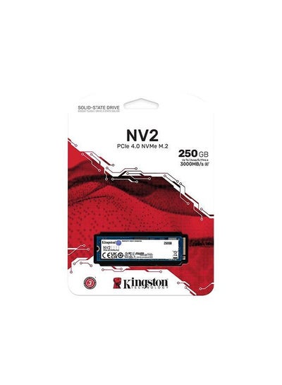 سعر Kingston NV2 250GB PCIe 4.0 NVMe SSD فى مصر | نون مصر | كان بكام