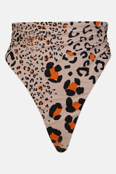 Women Plus Size Animal Print Bikini Bottom, Tan price in UAE | Noon UAE ...