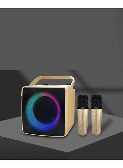 SDRD Portable Karaoke Machine Wireless Bluetooth Speaker with 2 ...