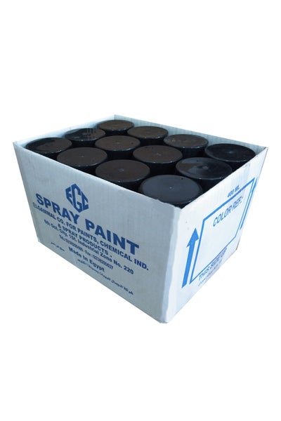 spray paint box glossy black - 400 ml - 12 pack price in Egypt | Noon ...