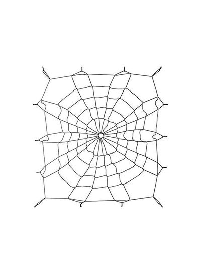 Cargo Spider Web price in UAE | Noon UAE | kanbkam