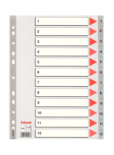 1 To 12 Index Divider Grey price in UAE | Noon UAE | kanbkam