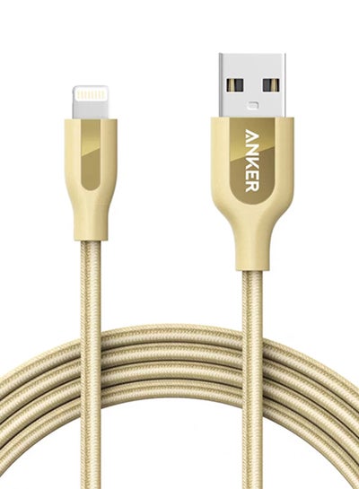 PowerLine+ Cable Gold price in UAE | Noon UAE | kanbkam
