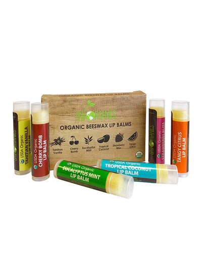 6-Piece Organic Beeswax Lip Balm Set price in Saudi Arabia | Noon Saudi ...