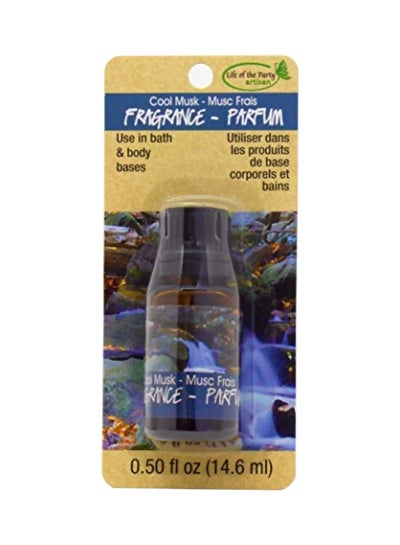 Cool Musk Fragrance Clear price in UAE | Noon UAE | kanbkam