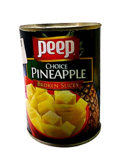 Broken Pineapple Slices 565grams price in Saudi Arabia | Noon Saudi ...