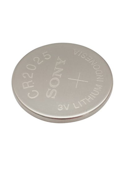 Lithium Coin Shaped Battery Silver price in UAE | Noon UAE | kanbkam