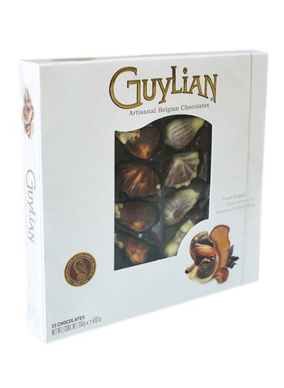 Artisanal Sea Shell Belgian Chocolate With Hazelnut Praline Filling ...