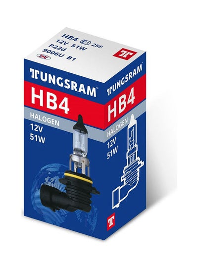 Hb4 Light Bulb 12V - 51W price in Egypt | Noon Egypt | kanbkam