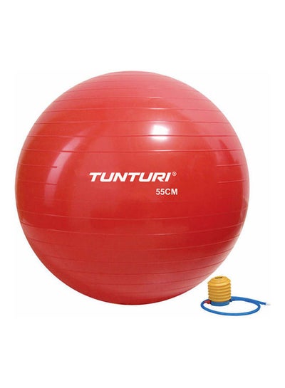 Inflatable Gym Ball with pump 65cm price in UAE | Noon UAE | kanbkam